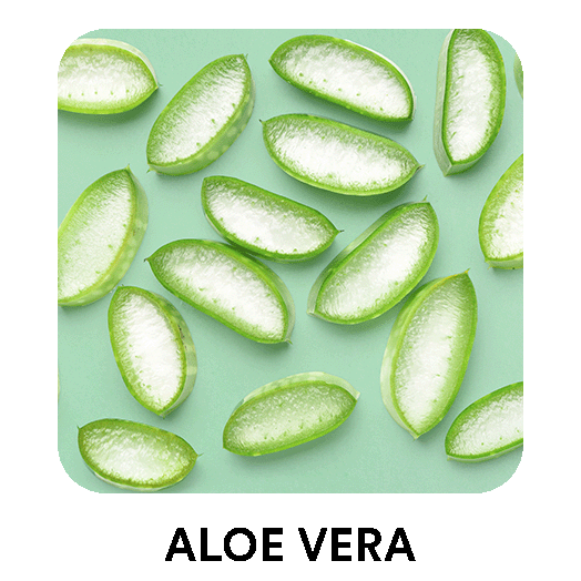 aloe vera – Cosmo Cosmetics India